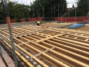 STEICO Engineered Joists | In-house Designed | NTS
